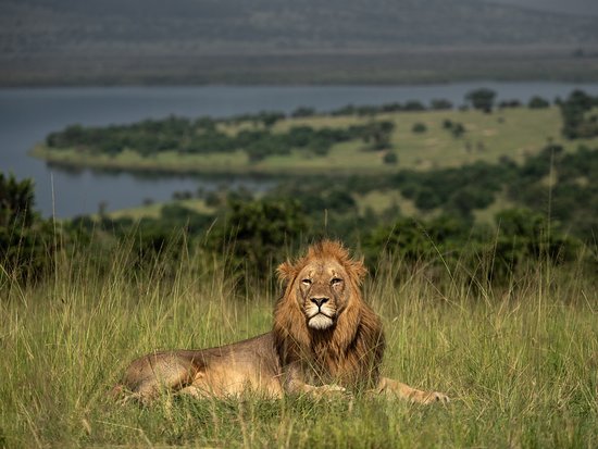 List of National Parks in Rwanda - Location, Fees & Guide
